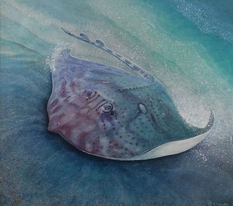 Realism Artworks | Deep Impressions Underwater Art